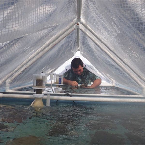 Kyle Pisano '17 — Unity Environmental University