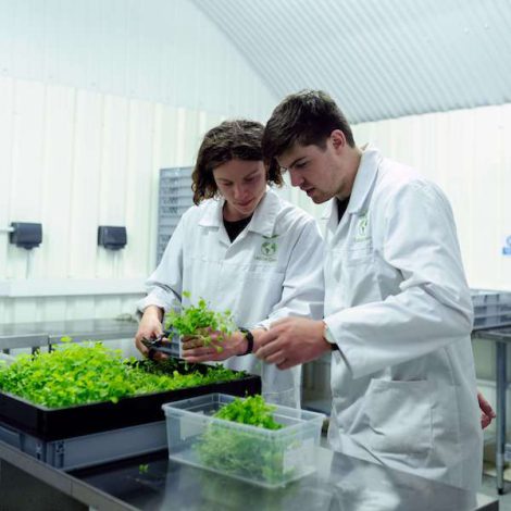 How to Become a Botanist — Unity Environmental University