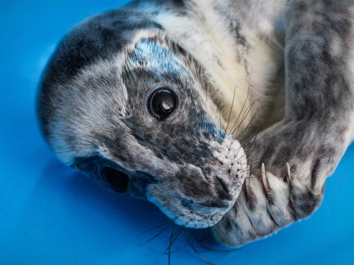 Unity College unveils new degrees in its Distance Education portfolio ...