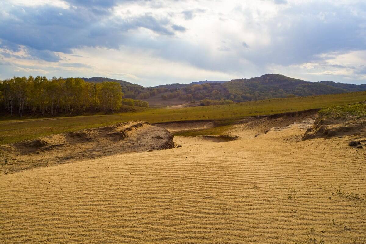 What Causes Desertification? — Unity Environmental University