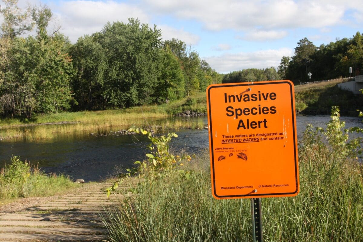 Invasive Species in Aquatic Ecosystems— Unity Environmental University
