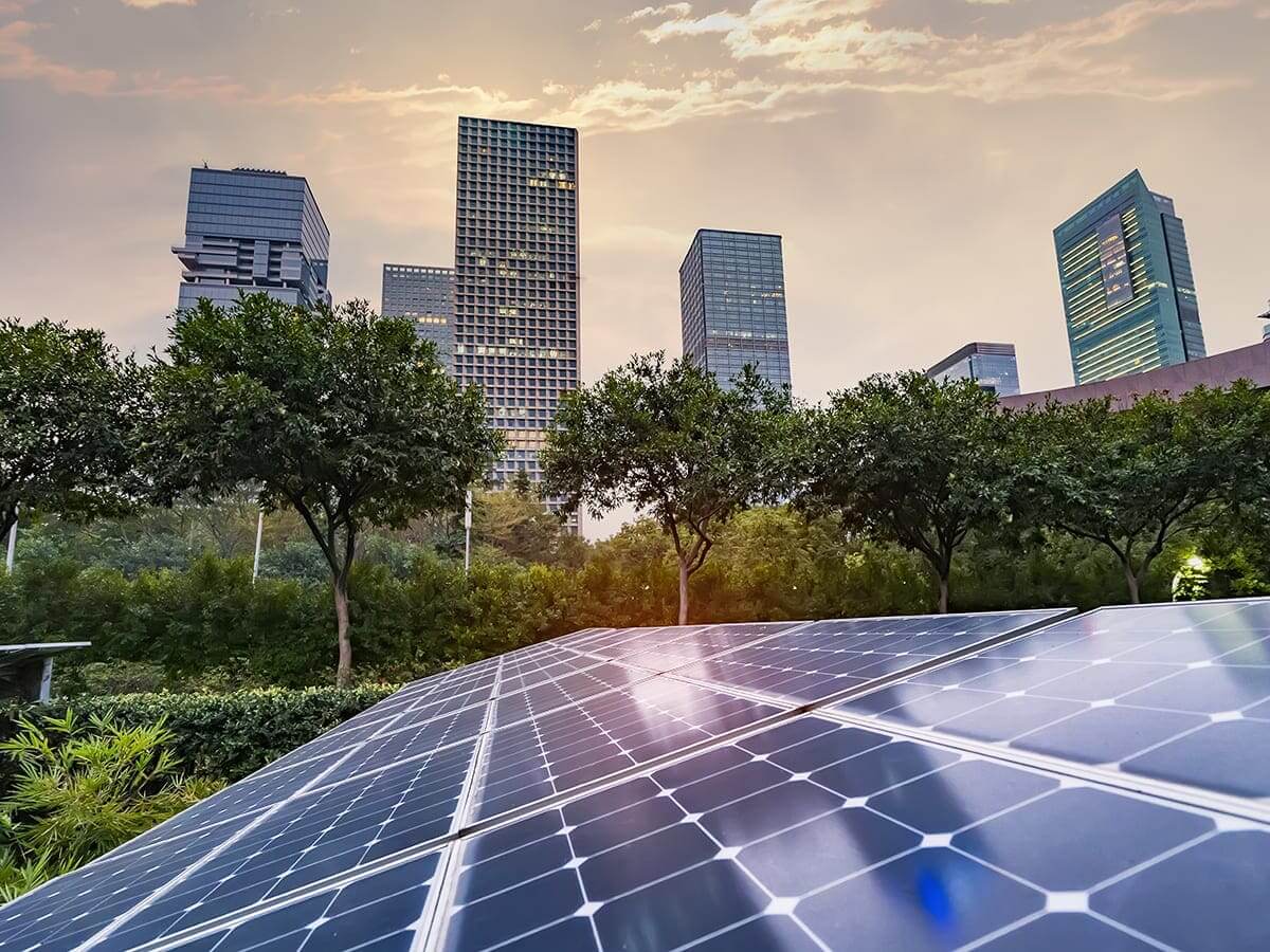 Unity Environmental University Distance Education Welcomes Five New ...