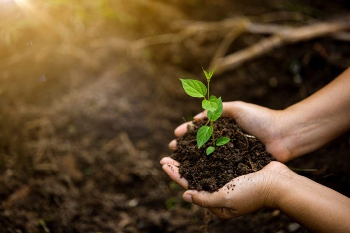 Environmental Science vs. Ecology — Unity Environmental University