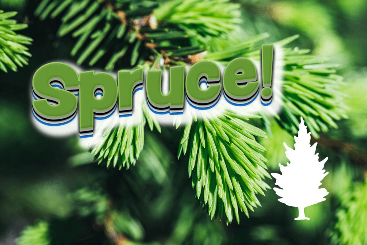 Unity Environmental University Introduces AI Chatbot "Spruce" - Your On-Demand Academic Support ...