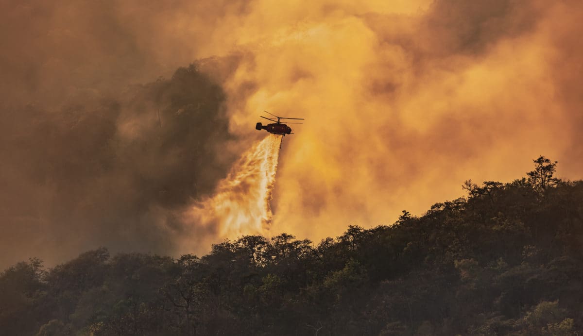 Wildfires Are Getting Worse. Here’s Why, and What You Can Do — Unity ...