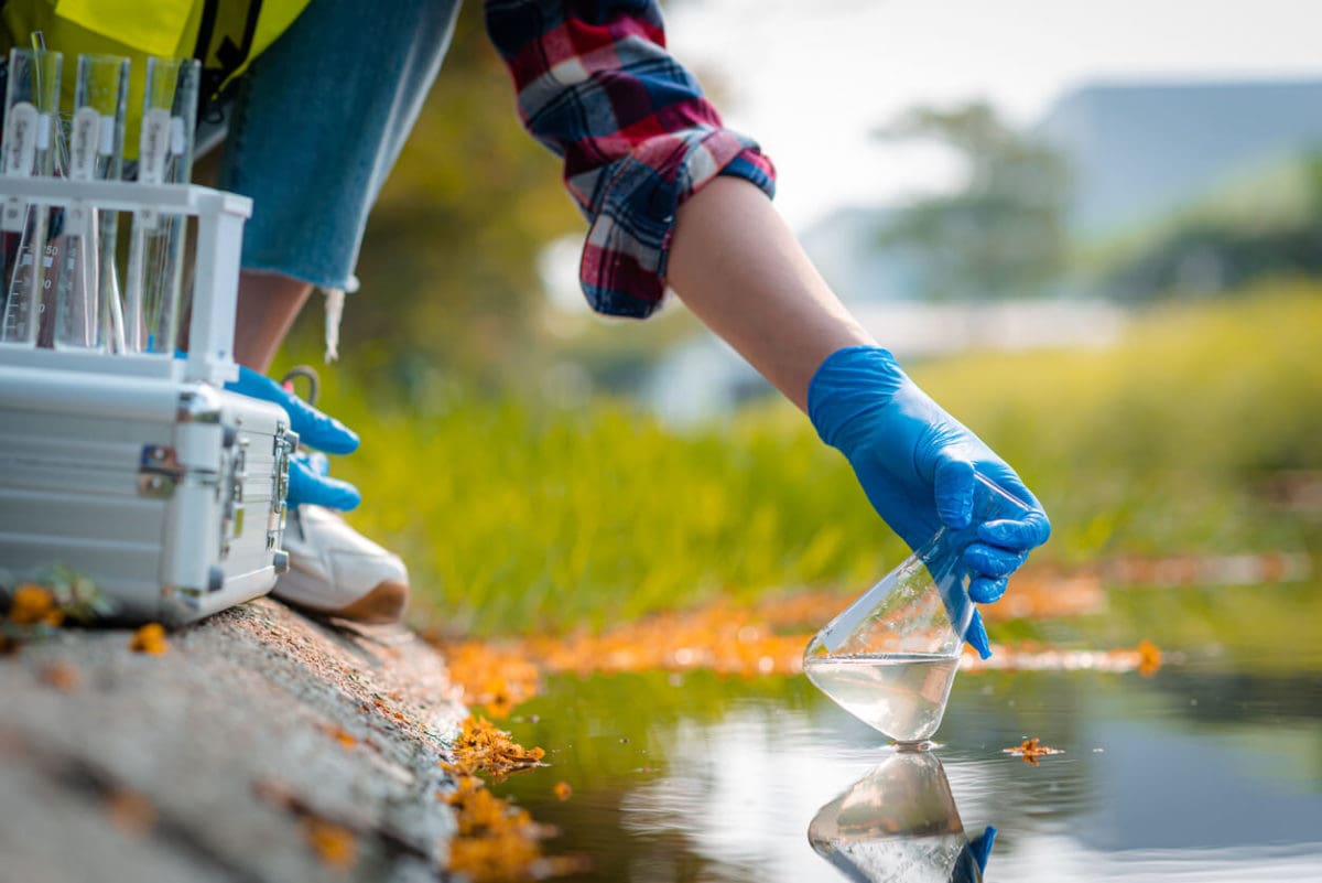How to Become an Ecologist - Unity Environmental University