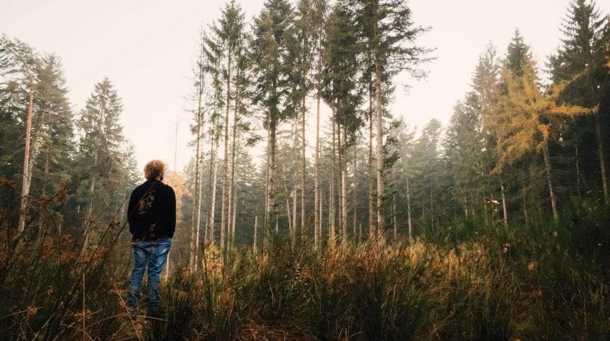 How to Become a Conservation Officer
