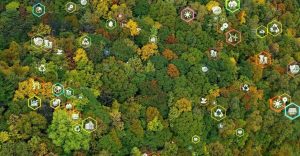 How To Become An Environmental Data Analyst