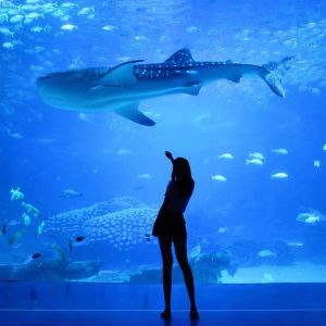 How To Become An Aquarist