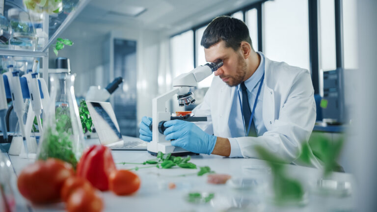 How to Become a Food Scientist — Unity Environmental University